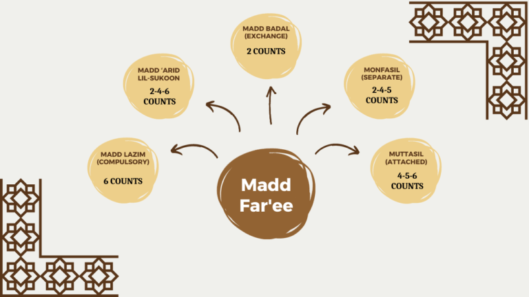 Types Of Madd In Tajweed With Simple Examples | Almuhammadi Academy