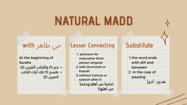 Types Of Madd In Tajweed With Simple Examples | Almuhammadi Academy